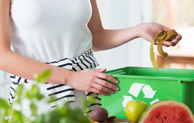 Girl's Guide To Going Green - Sass Magazine