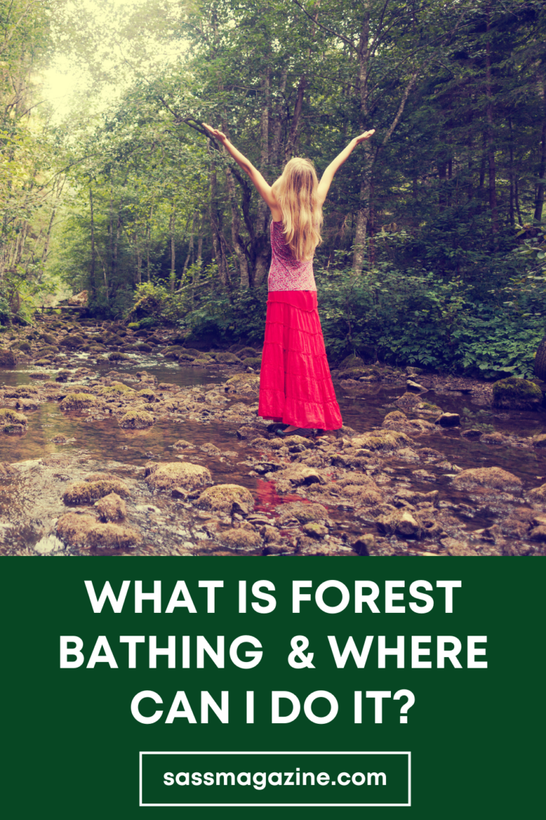 What Is Forest Bathing? And Where Can I Do It? - Sass Magazine